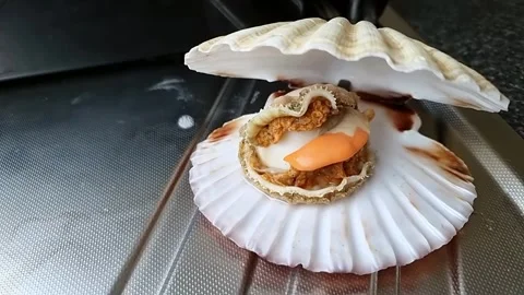 Whole Bay scallop edible saltwater clam ... | Stock Video | Pond5