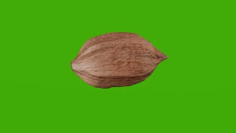 A whole coconut rotates on a green scree... | Stock Video | Pond5