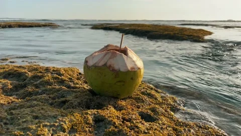 Whole coconut with straw standing on a r... | Stock Video | Pond5
