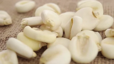 Whole dried hominy. Dry maize mote grain... | Stock Video | Pond5