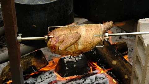 Open Duck Duck Stock Videos – Royalty-Free HD & 4K Videos