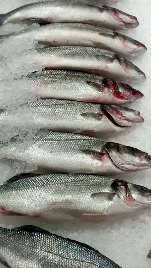 Chilled Meals Stock Videos – Royalty-Free HD & 4K Videos | Pond5