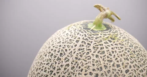 Japan Melon Stock Footage ~ Royalty Free Stock Videos | Pond5