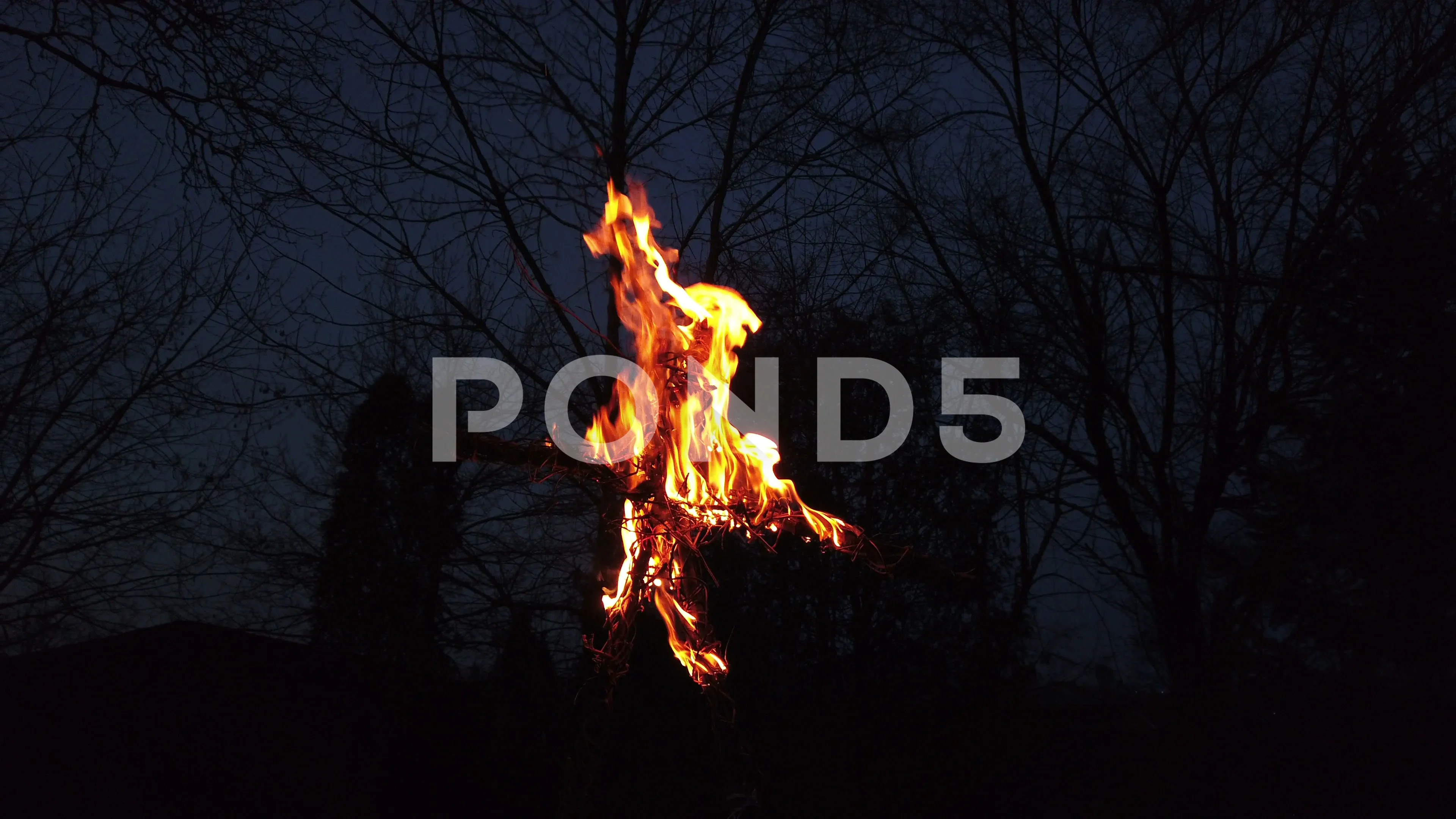 Burning Effigy The Forest