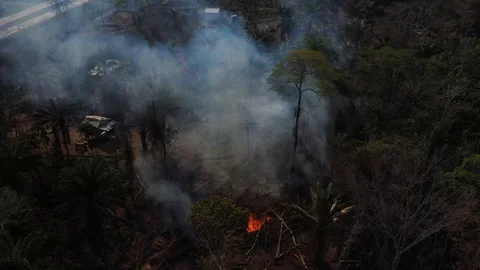 Amazon Fire Stock Video Footage | Royalty Free Amazon Fire Videos | Pond5