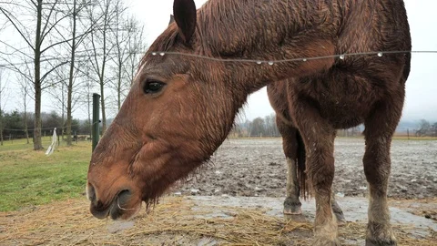 Draft This Content Stock Videos – Royalty-Free HD & 4K Videos