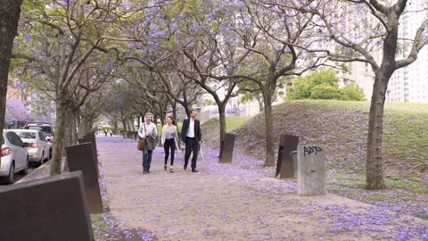 Angle Body Stock Videos – Royalty-Free HD & 4K Videos