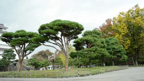 Wide angle view with slow pan movement t... | Stock Video | Pond5