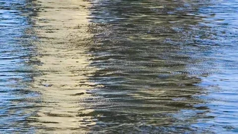 Wide river. Rapid clean flow in national... | Stock Video | Pond5