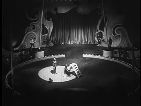 Wide shot of animal trainer performing w... | Stock Video | Pond5