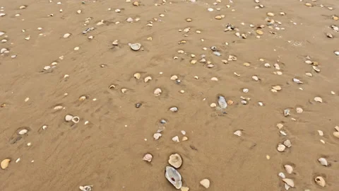 Wide shot of beach sand with lots of sea... | Stock Video | Pond5