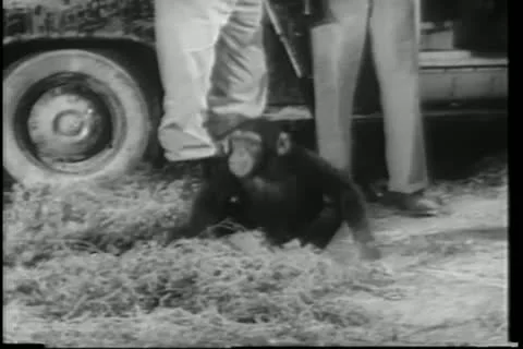 Vintage Clapping Stock Video Footage | Royalty Free Vintage Clapping ...