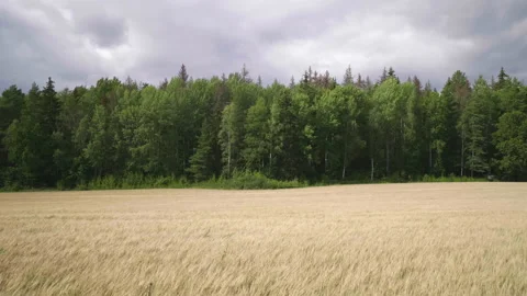 Wide Shot Panning Landscape View Green P... | Stock Video | Pond5
