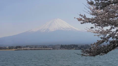 Wide view of Mt. Fuji and lake kawaguchi... | Stock Video | Pond5
