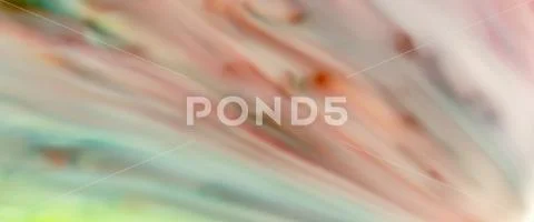 Photograph: Widescreen Macro Paint Vibrant Color Palette, Acrylic and ...