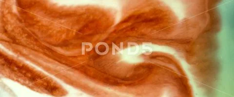 Photograph: Widescreen Macro Paint Vibrant Color Palette, Acrylic and ...