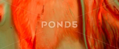 Widescreen Macro Paint Vibrant Color Palette, Acrylic and Dye Mixed in ...
