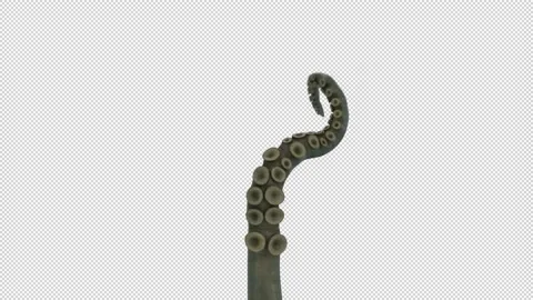 Lovecraft Stock Videos – Royalty-Free HD & 4K Videos | Pond5