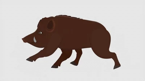 Wild Animals Animation Stock Footage ~ Royalty Free Stock Videos | Pond5