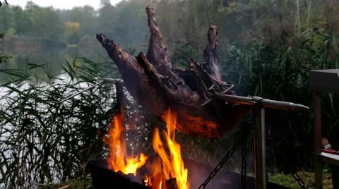 wild boar on spit | Stock Video | Pond5