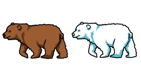 wild brown bear Sketch and 2d animated | Stock Video | Pond5