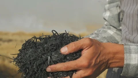 Holding Hands Hell Stock Videos – Royalty-Free HD & 4K Videos