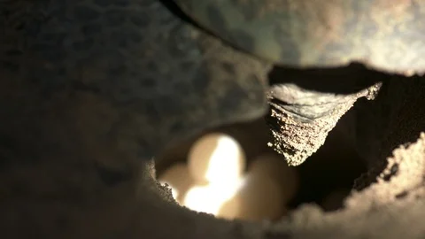 Laying N Stock Videos – Royalty-Free HD & 4K Videos | Pond5