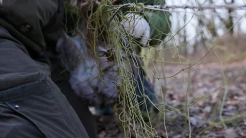 Wild Caugh Stock Videos – Royalty-Free HD & 4K Videos