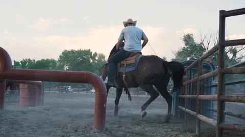 Guy Riding Horse Stock Videos – Royalty-Free HD & 4K Videos | Pond5