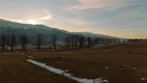 Wild Horses Music Stock Videos – Royalty-Free HD & 4K Videos | Pond5