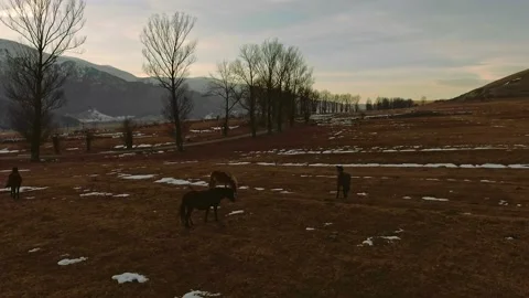 Wild Horses Music Stock Videos – Royalty-Free HD & 4K Videos | Pond5