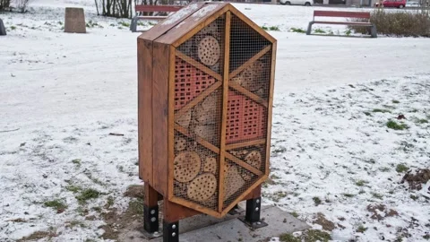 Wild Insect Outdoor Biodiversity Shelter... | Stock Video | Pond5