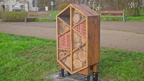 Wild Insect Outdoor Biodiversity Shelter... | Stock Video | Pond5