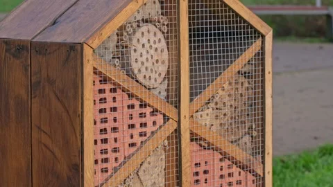 Wild Insect Outdoor Biodiversity Shelter... | Stock Video | Pond5