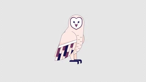Wild owl in winter line 2D character ani... | Stock Video | Pond5