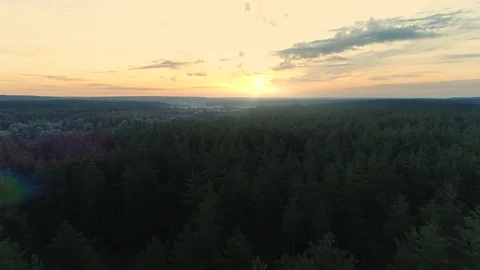 wild scenery happiness freedom growth na... | Stock Video | Pond5