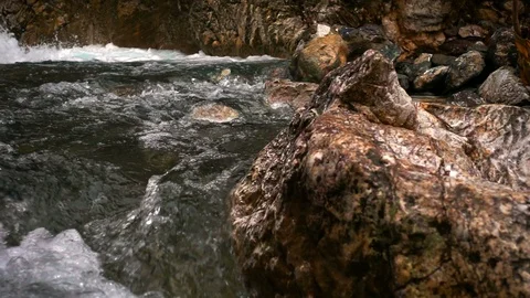 Wild Nature Wallpaper Stock Videos – Royalty-Free HD & 4K Videos