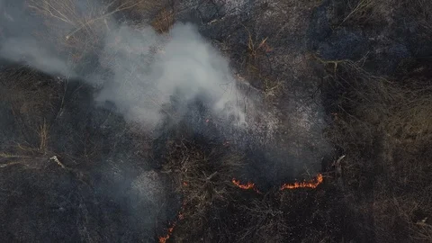 Wildfire aerial view. Fire and smoke at ... | Stock Video | Pond5