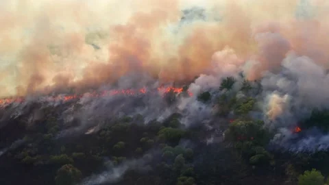 Stock Video Footage | Royalty Free Videos | Pond5