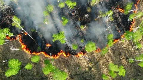 wildfire aerial view. uncontrolled wild ... | Stock Video | Pond5