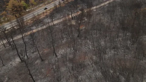 Wildfire Aftermath, Drone Aerial View, B... | Stock Video | Pond5