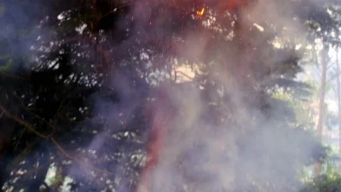 Wildfire, bushfire, wildland, rural fire... | Stock Video | Pond5