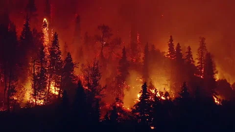 E Season Stock Videos – Royalty-Free HD & 4K Videos