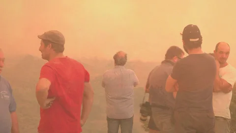 Wildfires burn national park in central ... | Stock Video | Pond5