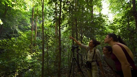 Watching I Video Stock Videos – Royalty-Free HD & 4K Videos | Pond5