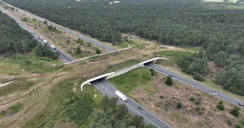 Wildlife crossing ecoduct over freeway. ... | Stock Video | Pond5