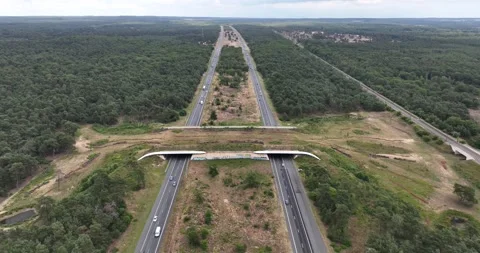 Wildlife crossing ecoduct over freeway. ... | Stock Video | Pond5