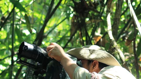 Picture Of Brid Stock Videos – Royalty-Free HD & 4K Videos | Pond5