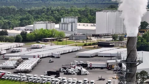 Wiley Stock Videos – Royalty-Free HD & 4K Videos | Pond5