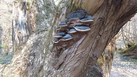 L Bracket Stock Videos – Royalty-Free HD & 4K Videos